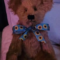 Gallery - Ansdell Teddy Bear Repairs 🧸